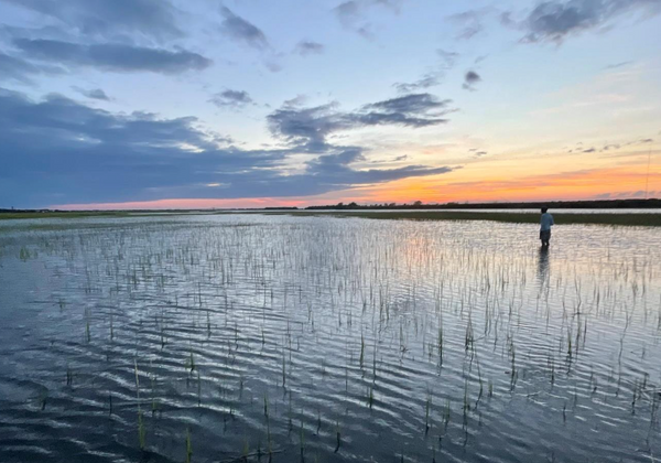 A Fish Story: Early Season Tailers - renegadeflyrods